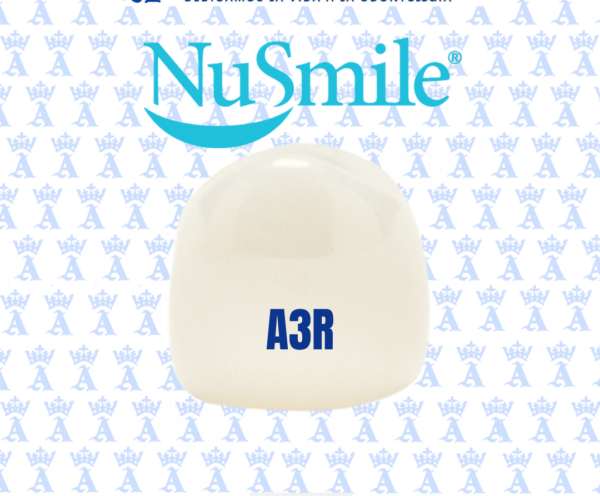 NUSMILE CORONA PRUEBA ANTERIOR A3R - Flosamed