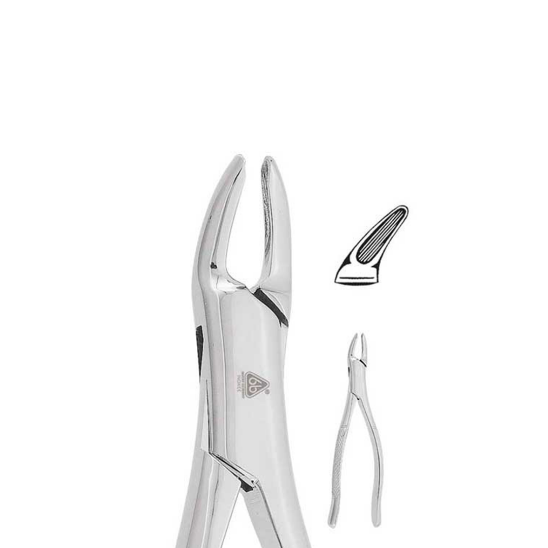 FORCEP ADULTO 62 P/INCISIVOS PREMOLARES Y DIENTES TEMPORALES - Flosamed
