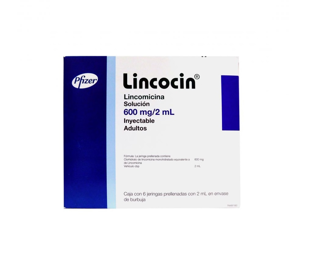 LINCOCIN 600 MG JGA PREL 6X2ML - Flosamed